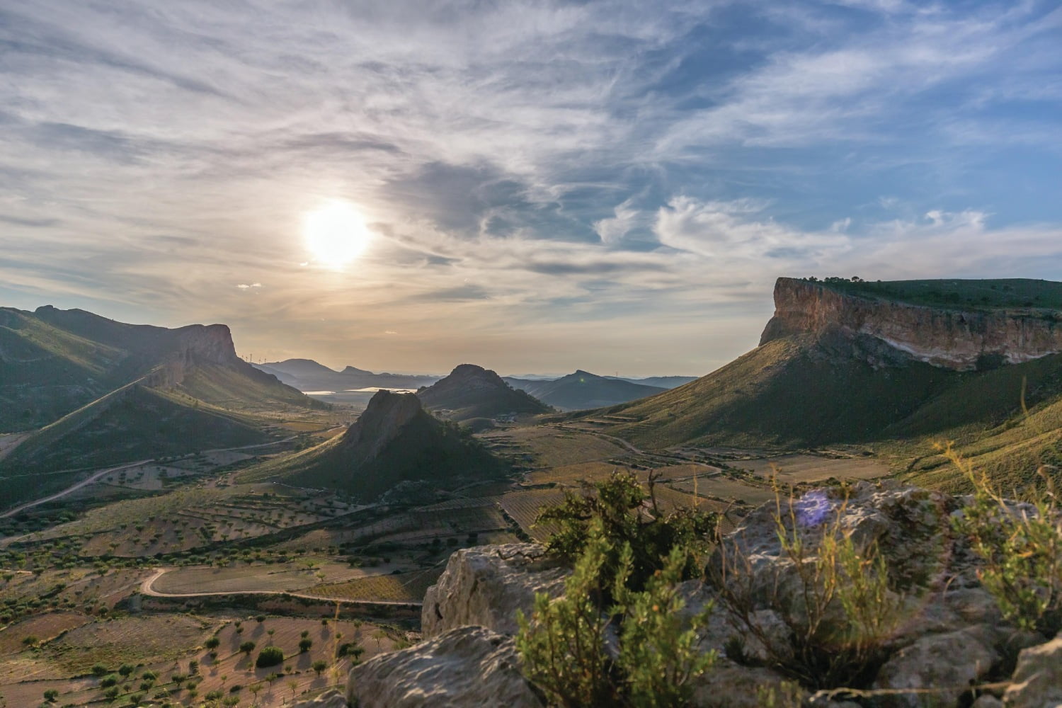 Why Jumilla wines are a rock solid investment - Jumilla Wines EN