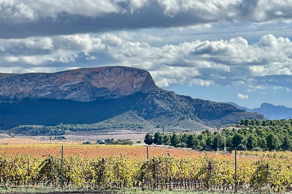 The Wines of Jumilla Monastrell and more - Jumilla Wines EN