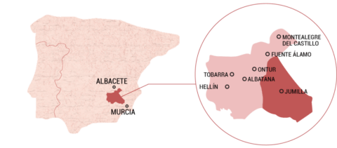 About Us - Jumilla Wines EN